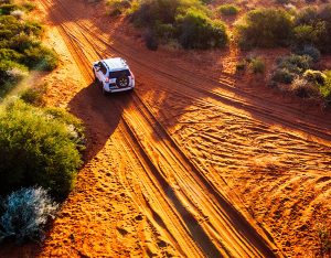 Training Program Rvts