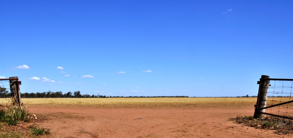 RVTS : The "Secret Sauce" for Successful Rural and Remote Workforce ...